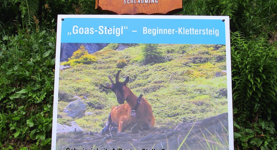Bergsteigen.com