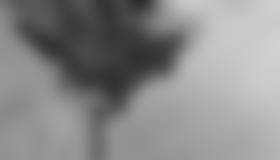 Eisarena Umbaltal - Sektor Flying Dutchman | Bergsteigen.com