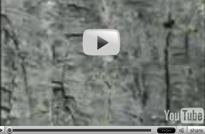 Video: Speed Solo by Dan Osman | Bergsteigen.com