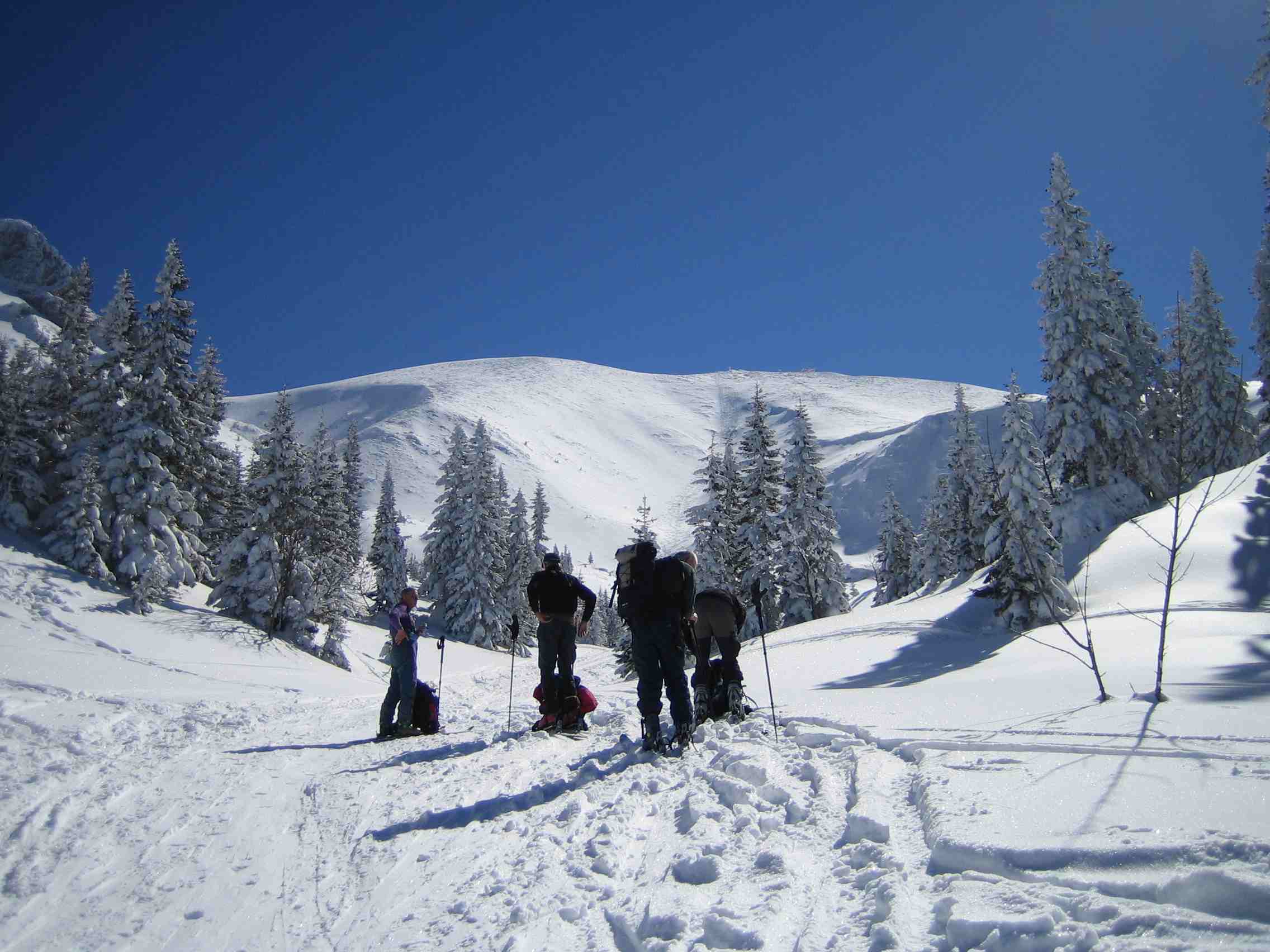 Wurzengraben Schneeberg | Bergsteigen.com