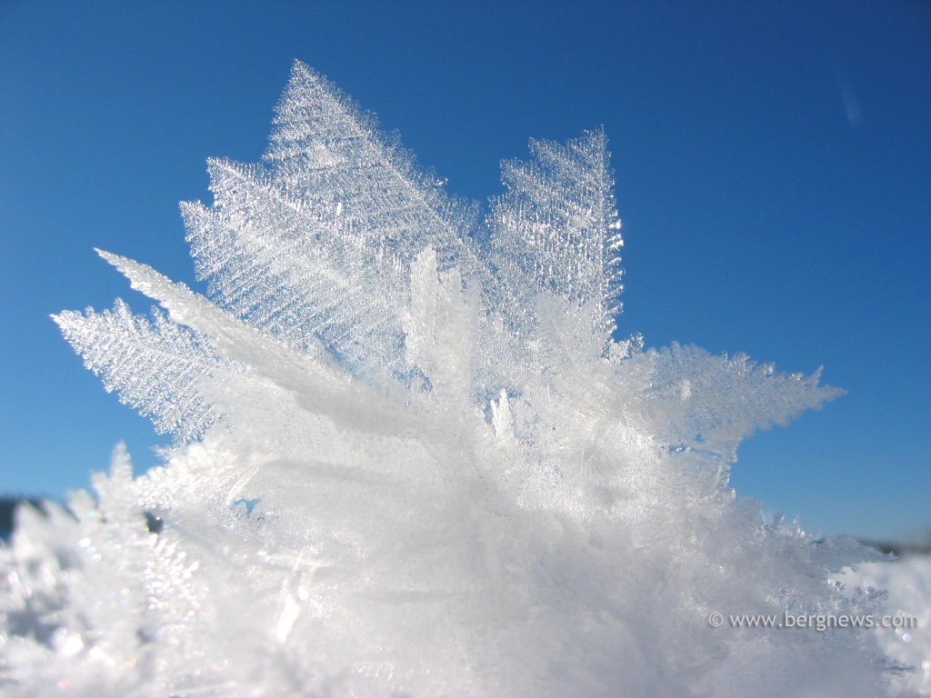 schneeblume | Bergsteigen.com